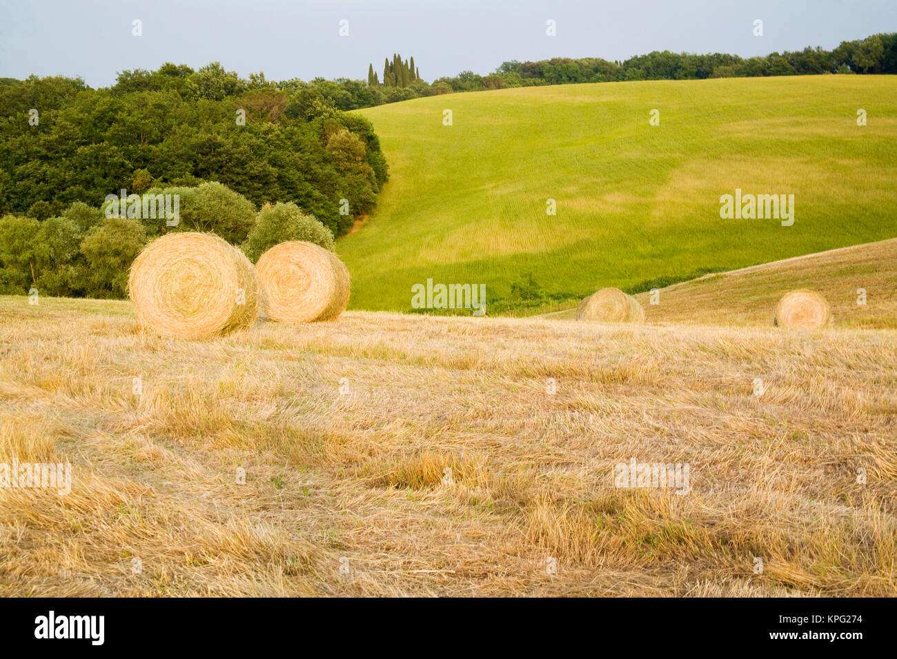 Italy, Tuscany, Hay Roles on The Tuscan Hillside Stock Photo - Alamy