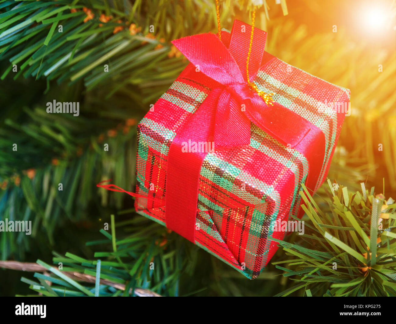 gift box on fir tree Stock Photo - Alamy