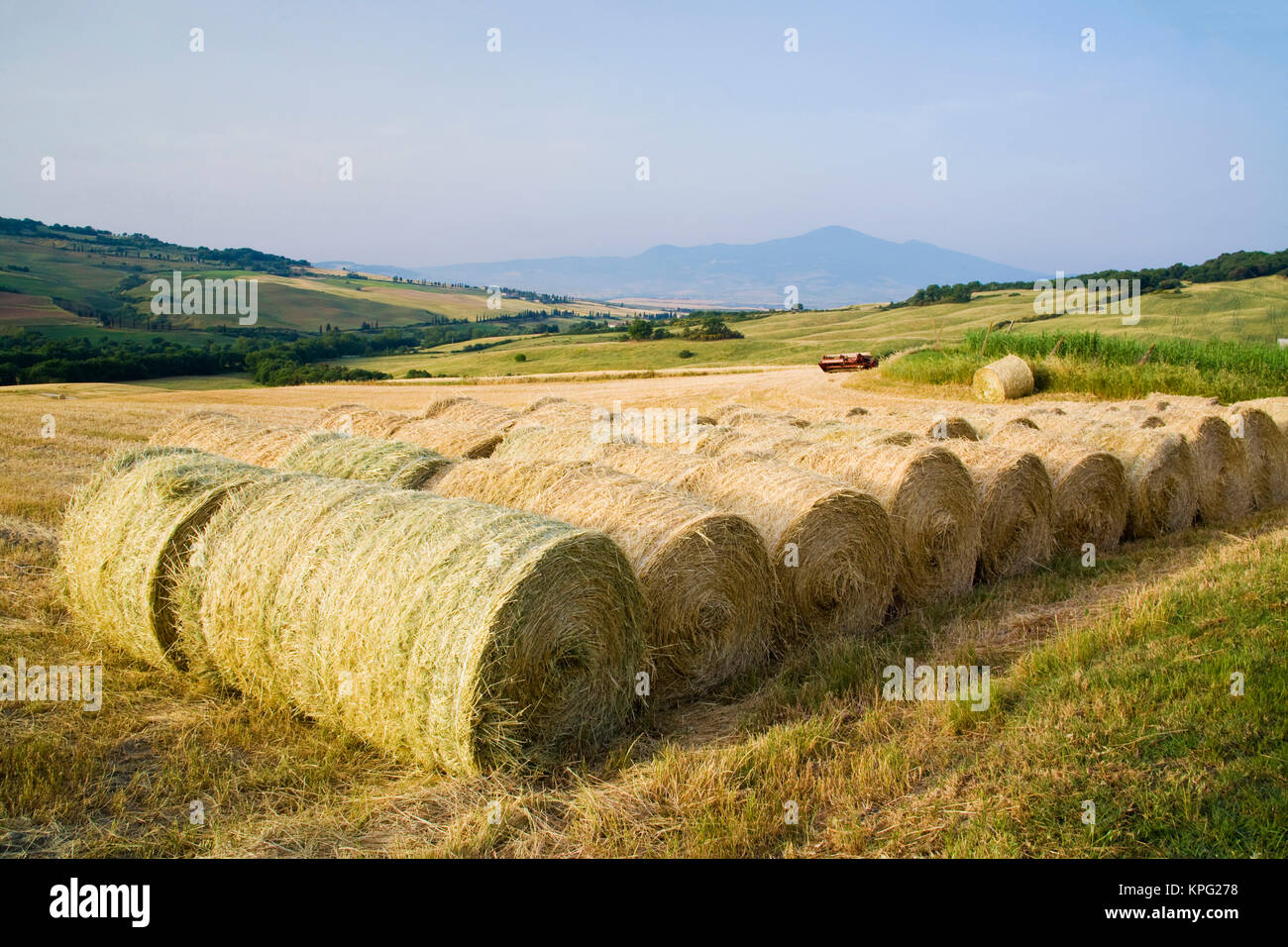 Italy, Tuscany, Hay Roles on The Tuscan Hillside Stock Photo - Alamy