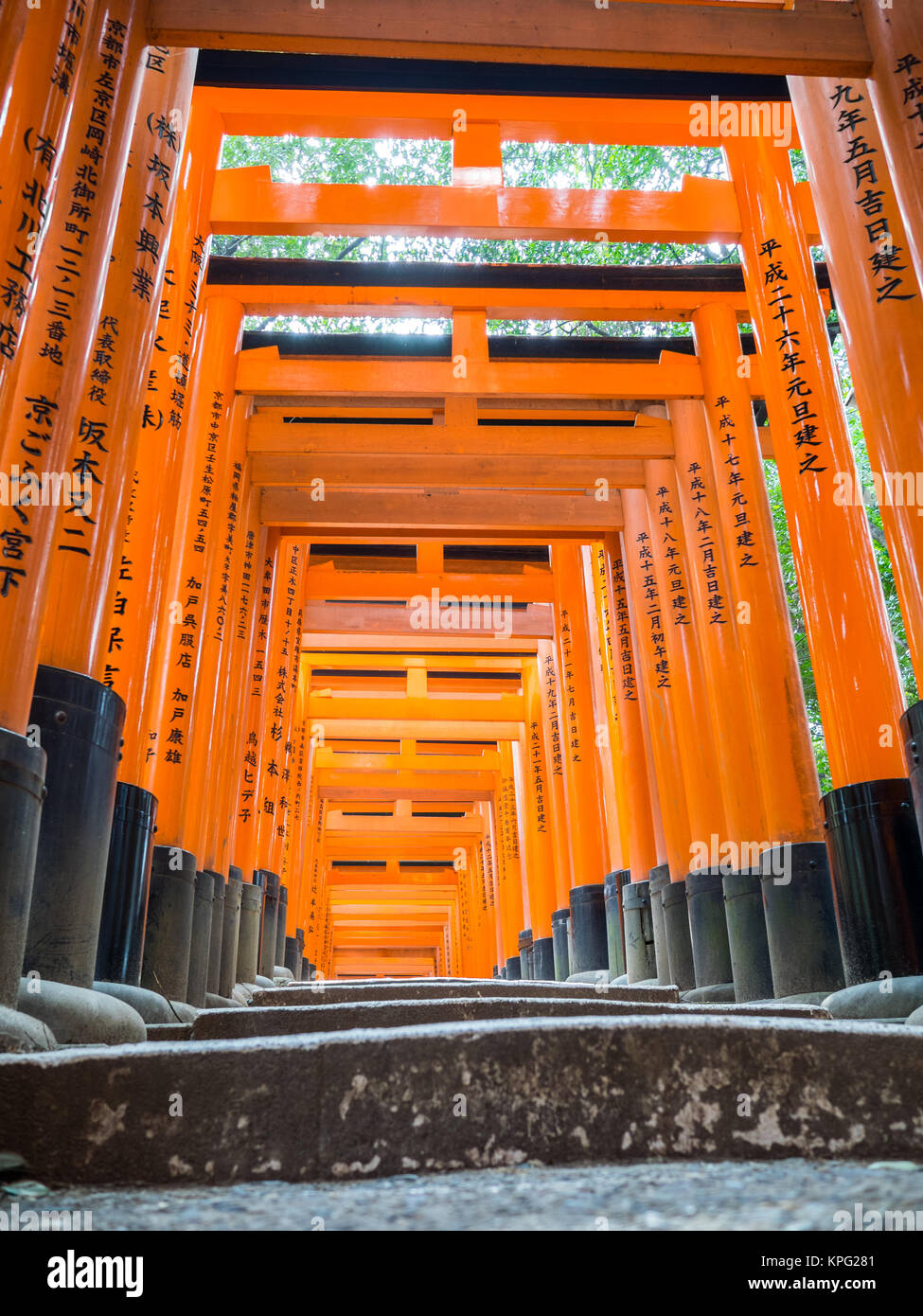Steps on the path inside the Fushimi Inari sacred shrine Stock Photo ...