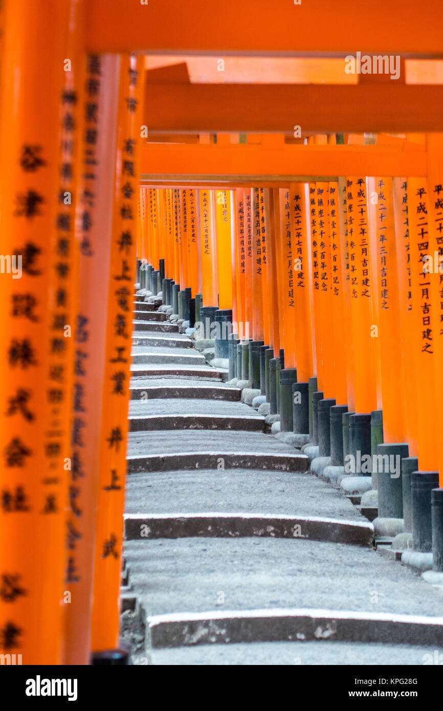 Otori taisha shrine hi-res stock photography and images - Alamy