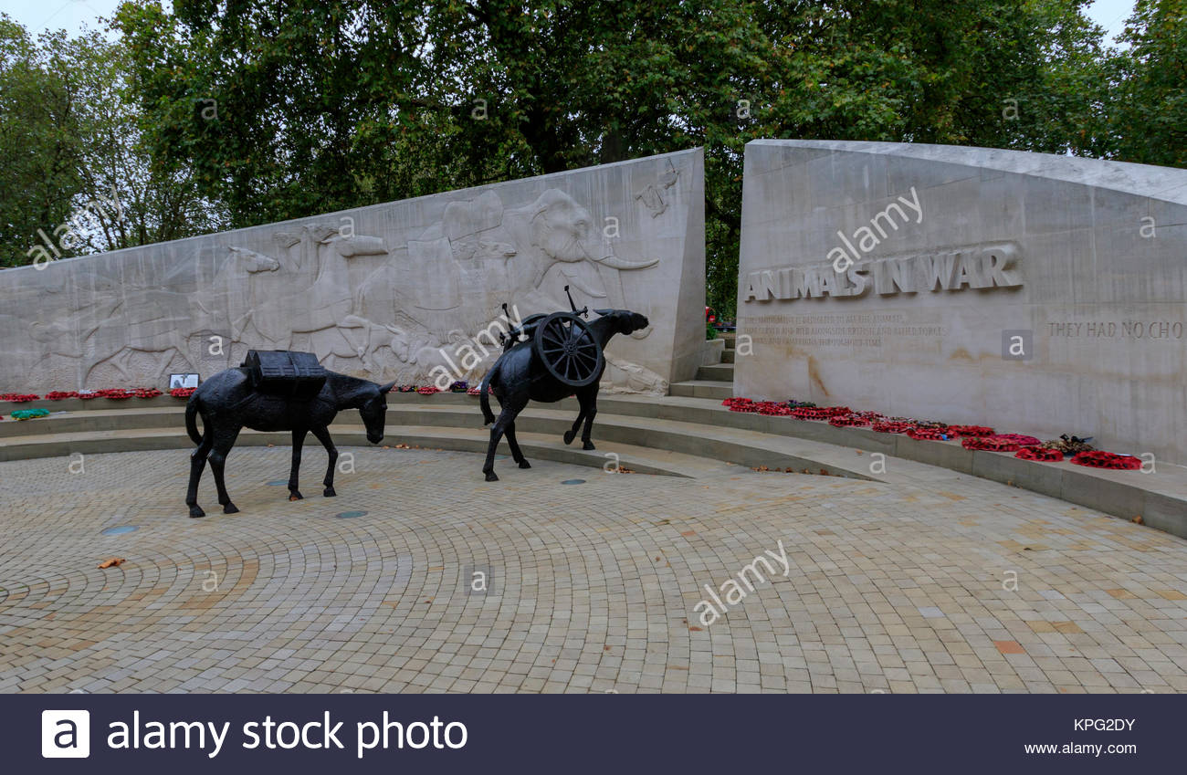 Animals In War Memorial London Stock Photos & Animals In War Memorial ...