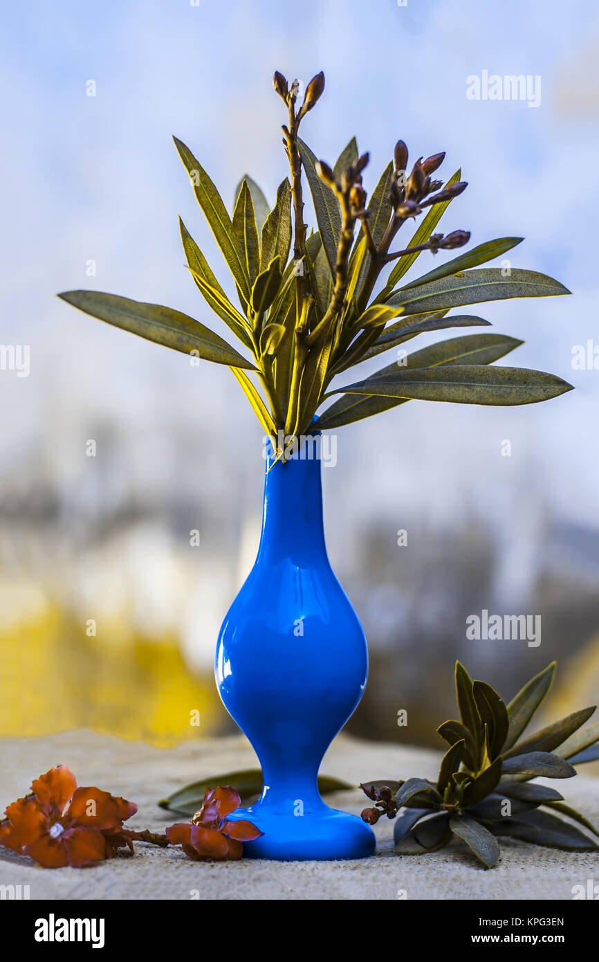 Red colored aromatic flowers in a blue vase on gunny bag Stock Photo ...