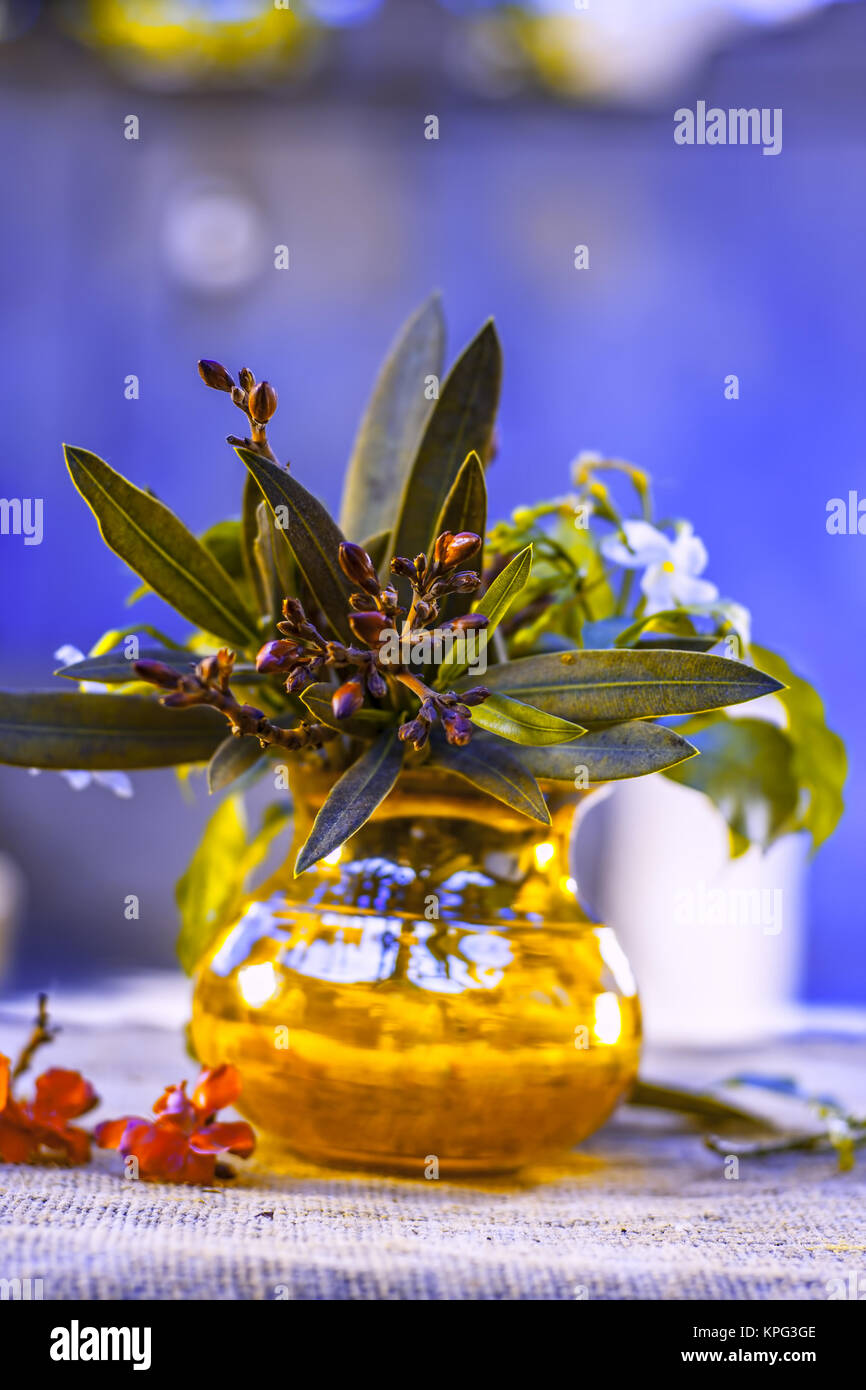 Broken Vase Flower Stock Photos & Broken Vase Flower Stock Images - Alamy