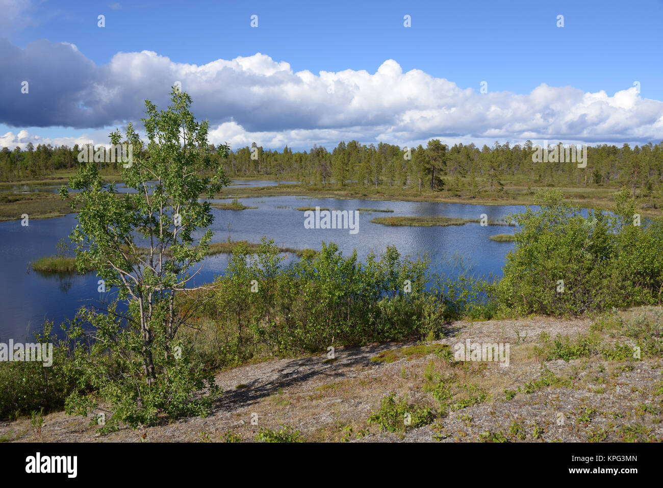Lapland summer holidays hi-res stock photography and images - Alamy