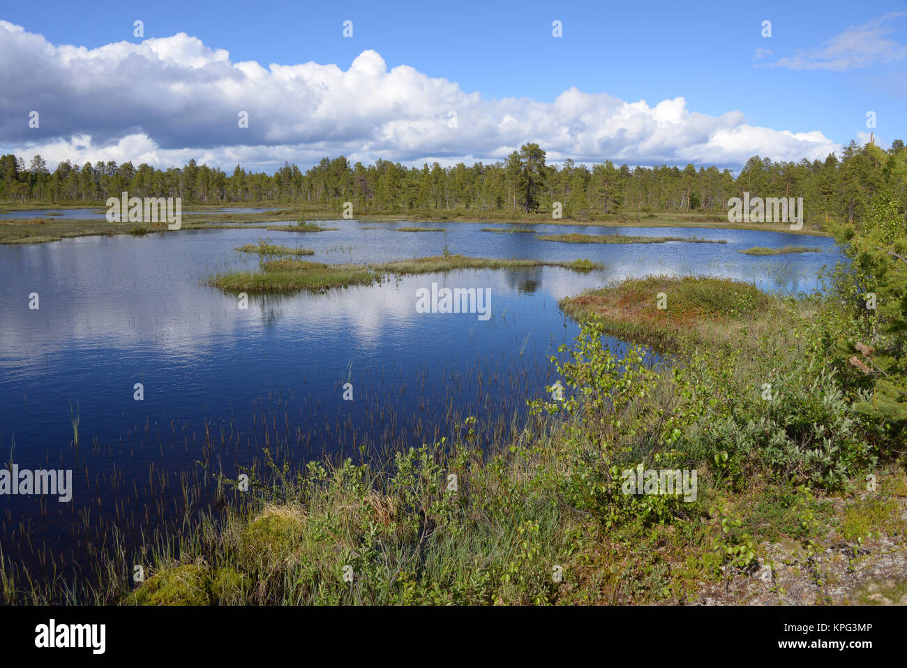 Lapland summer holidays hi-res stock photography and images - Alamy