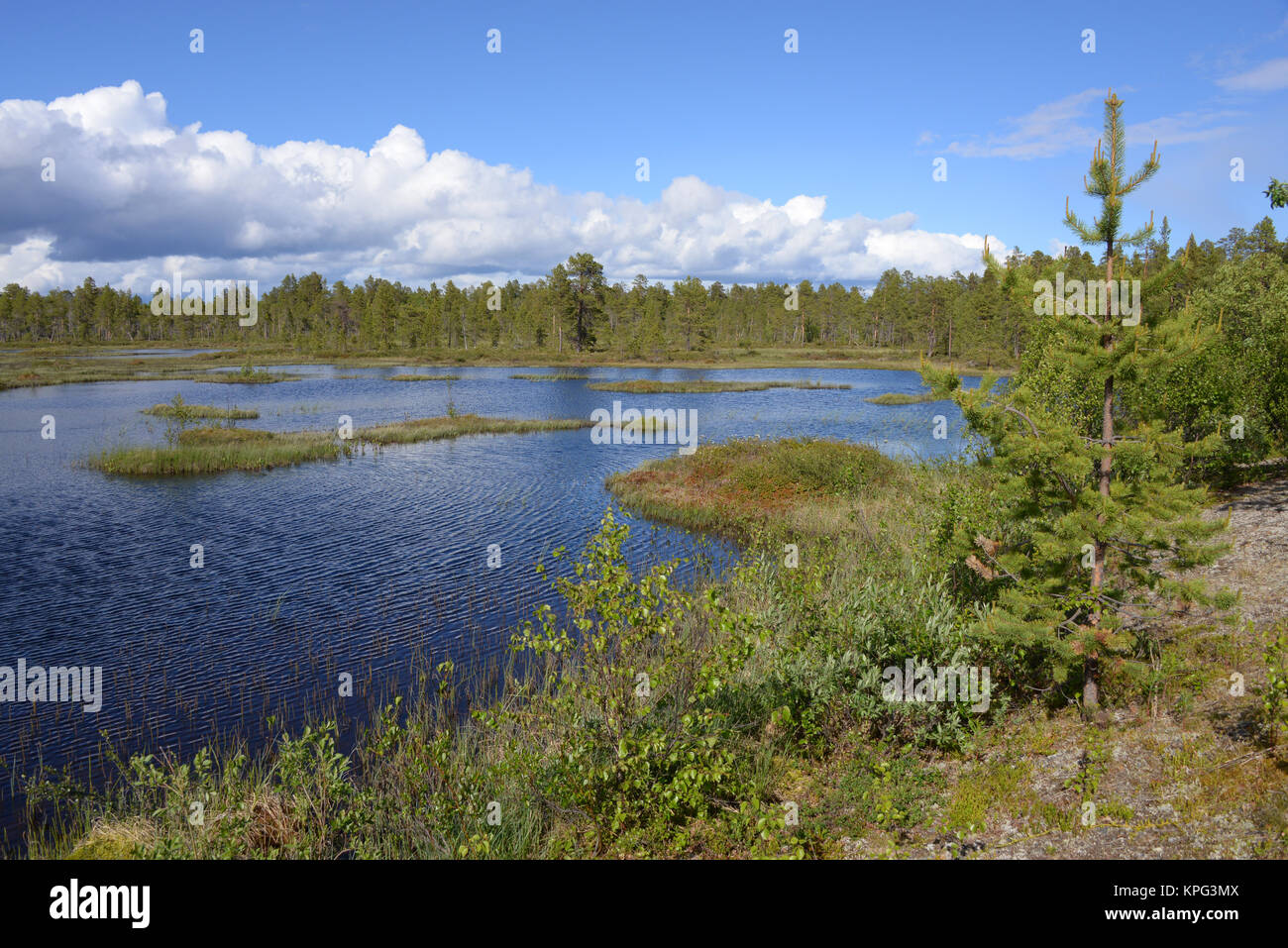 Lapland summer holidays hi-res stock photography and images - Alamy