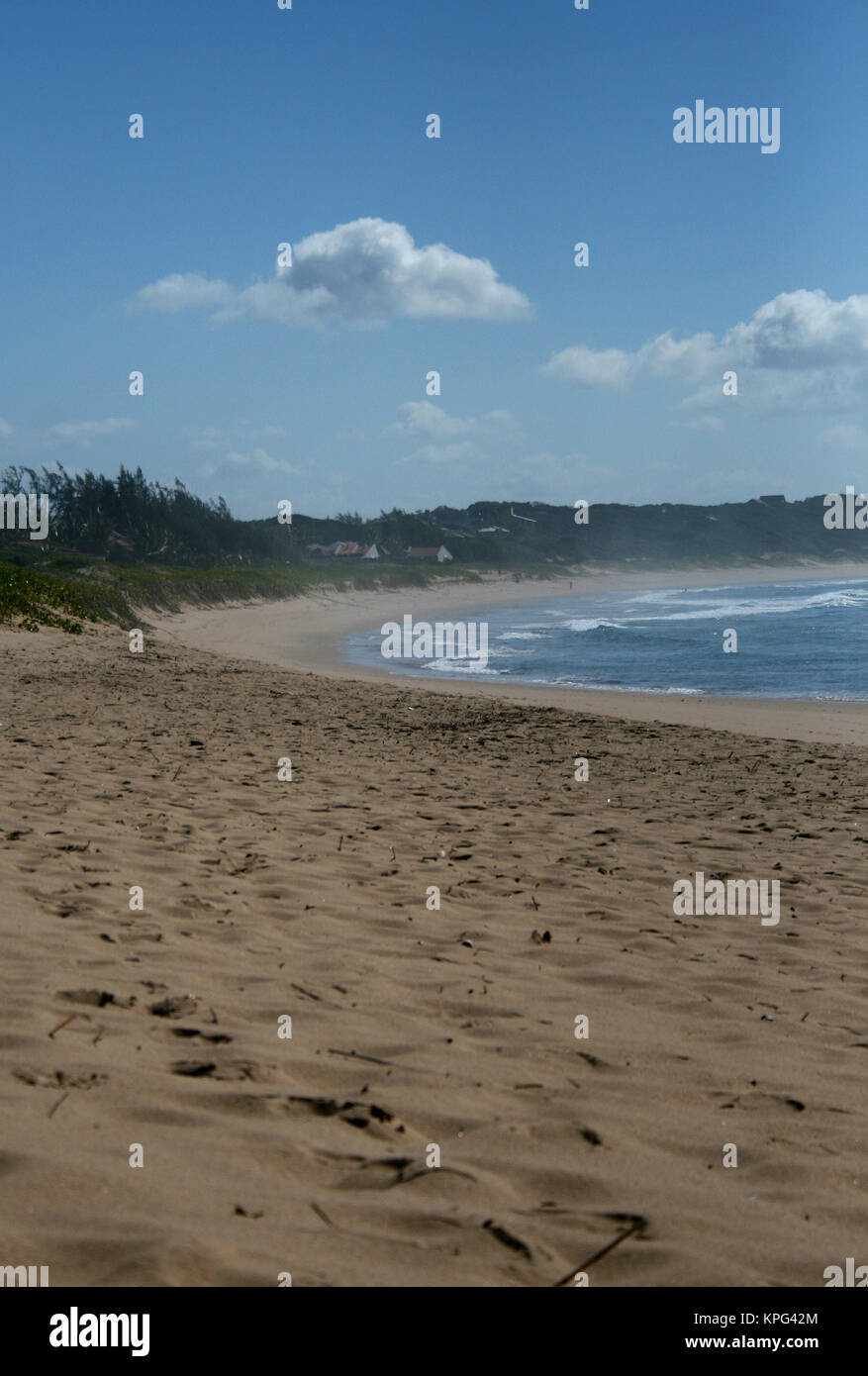 Ponta ouro hi-res stock photography and images - Alamy