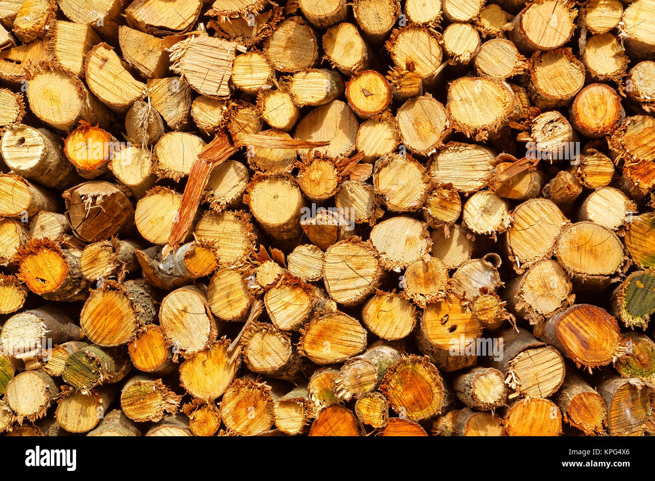 Rough sawn pine wall hi-res stock photography and images - Alamy