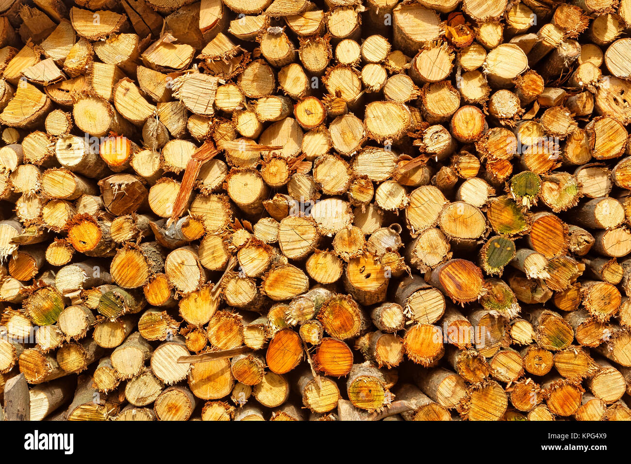 natural wooden logs Stock Photo - Alamy