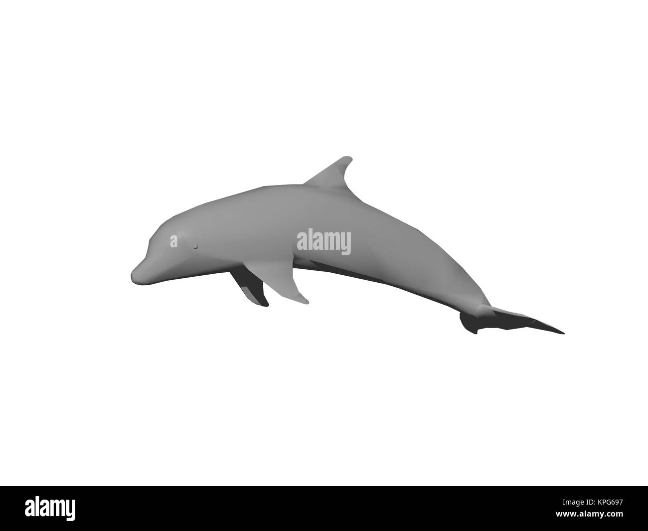 Delfin Black and White Stock Photos & Images - Alamy