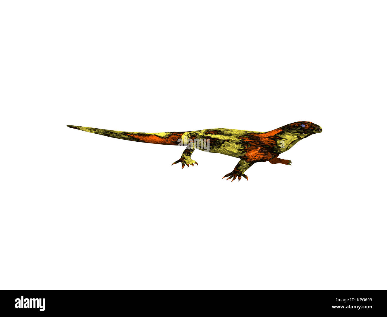 Lizard claws hi-res stock photography and images - Alamy