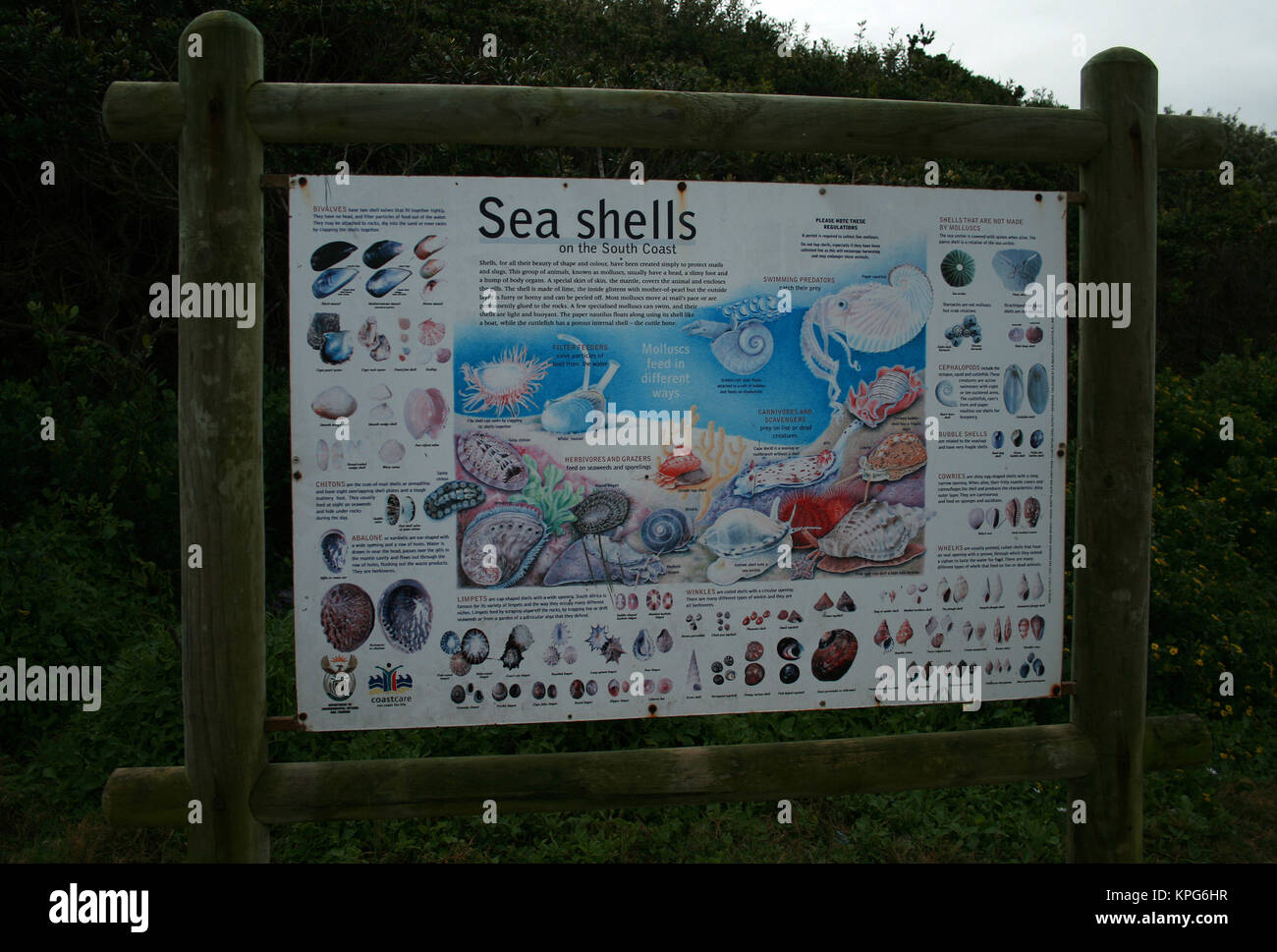 Sea shell information board at Gonubie beach, East London Stock Photo ...