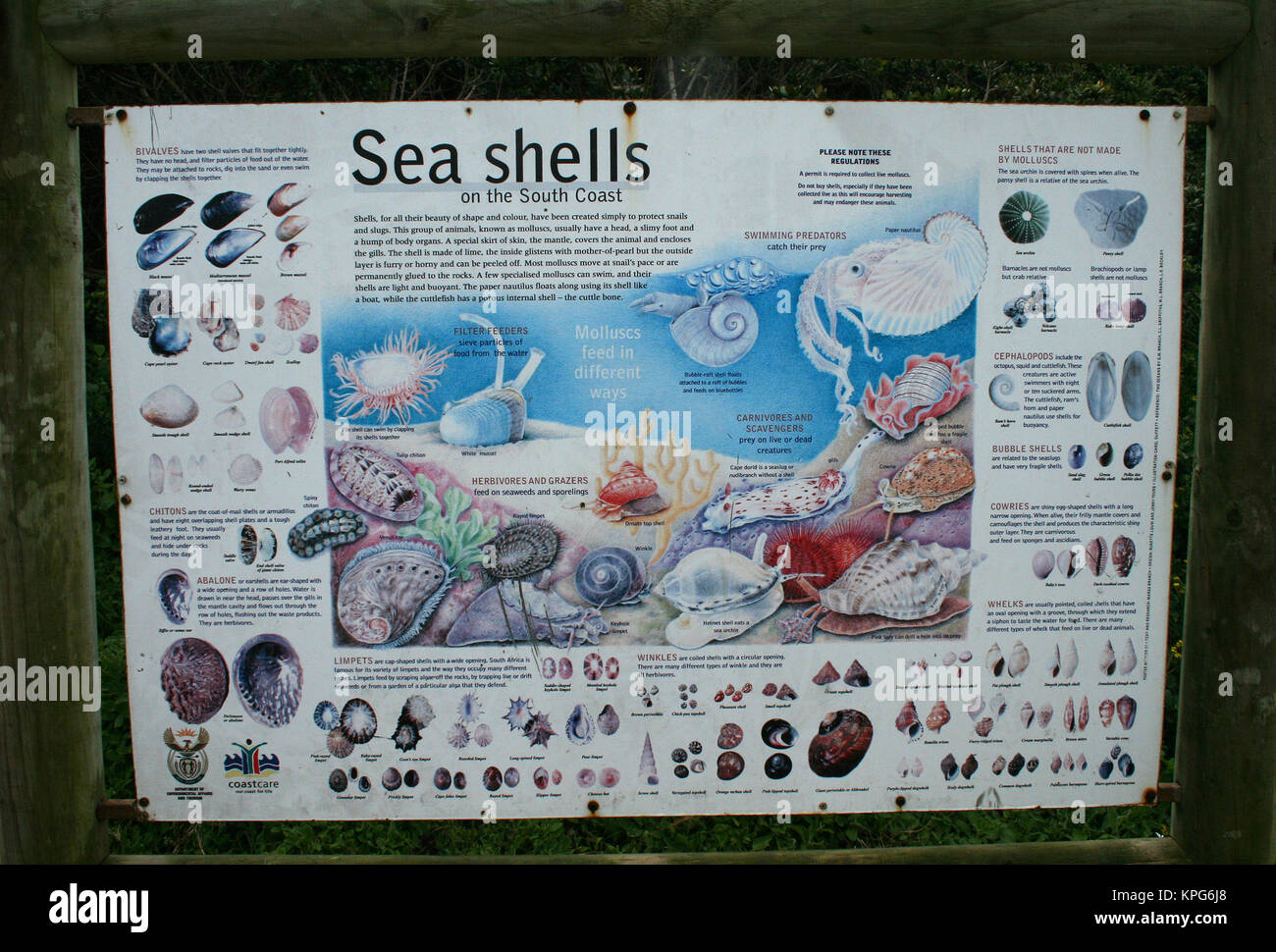 Identification identifying identify hi-res stock photography and images ...