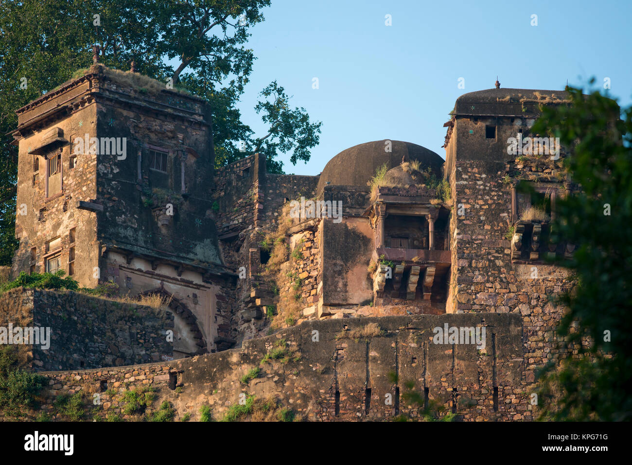 Ranthambhore palace hi-res stock photography and images - Alamy