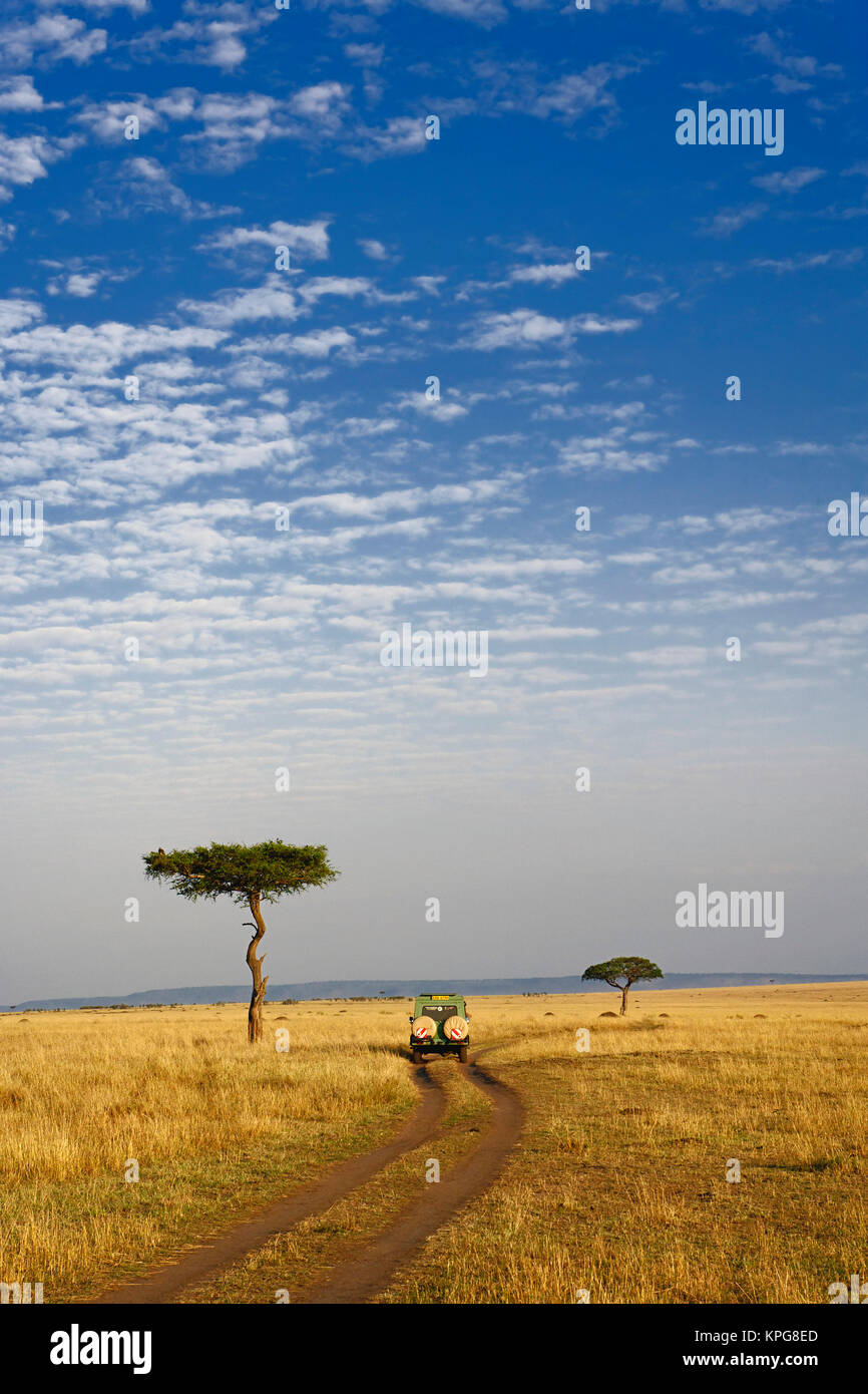 Land Rover safari vehicle on primitive road across the Masai Mara Game ...