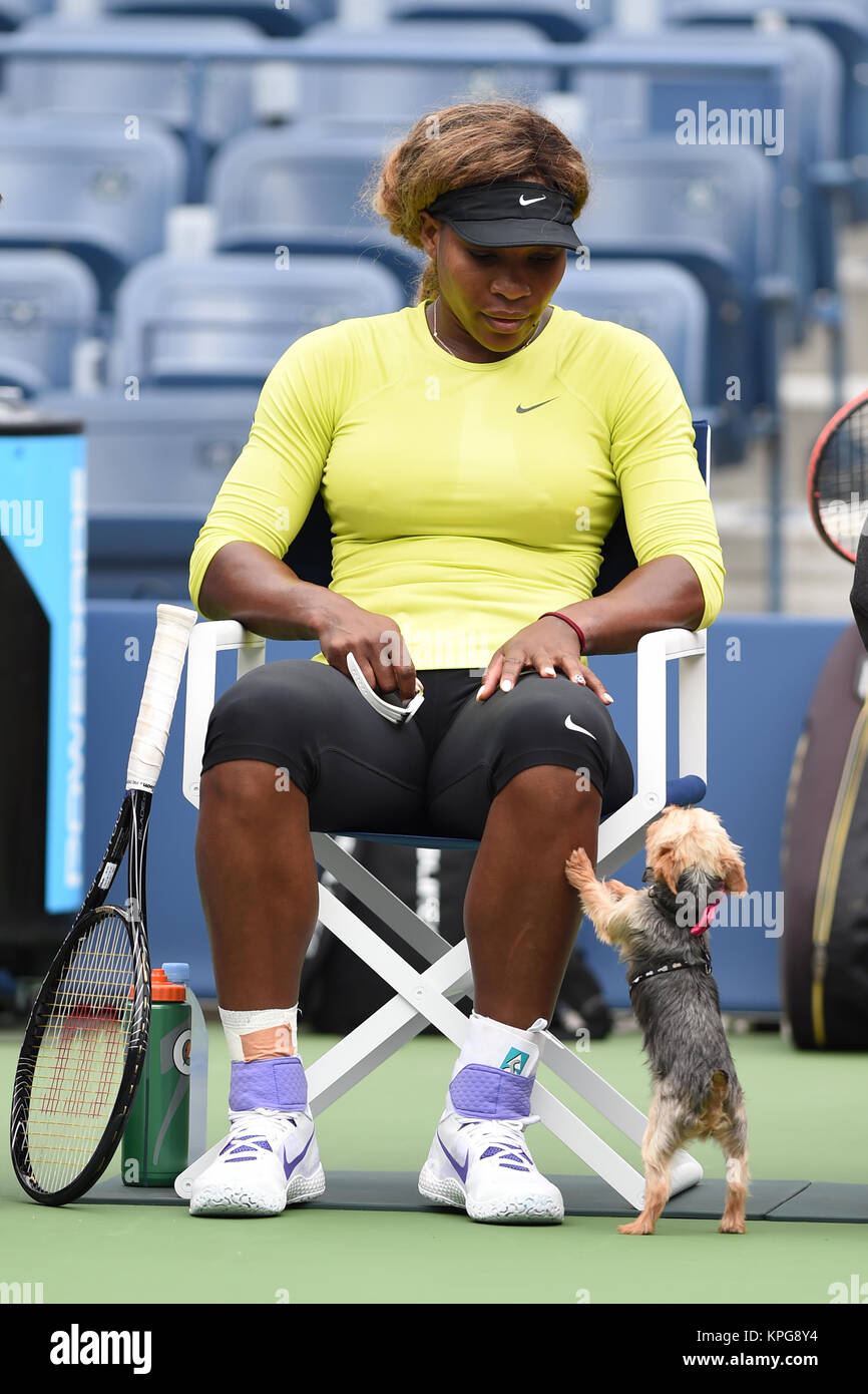 Steffi graf dog hi-res stock photography and images - Alamy