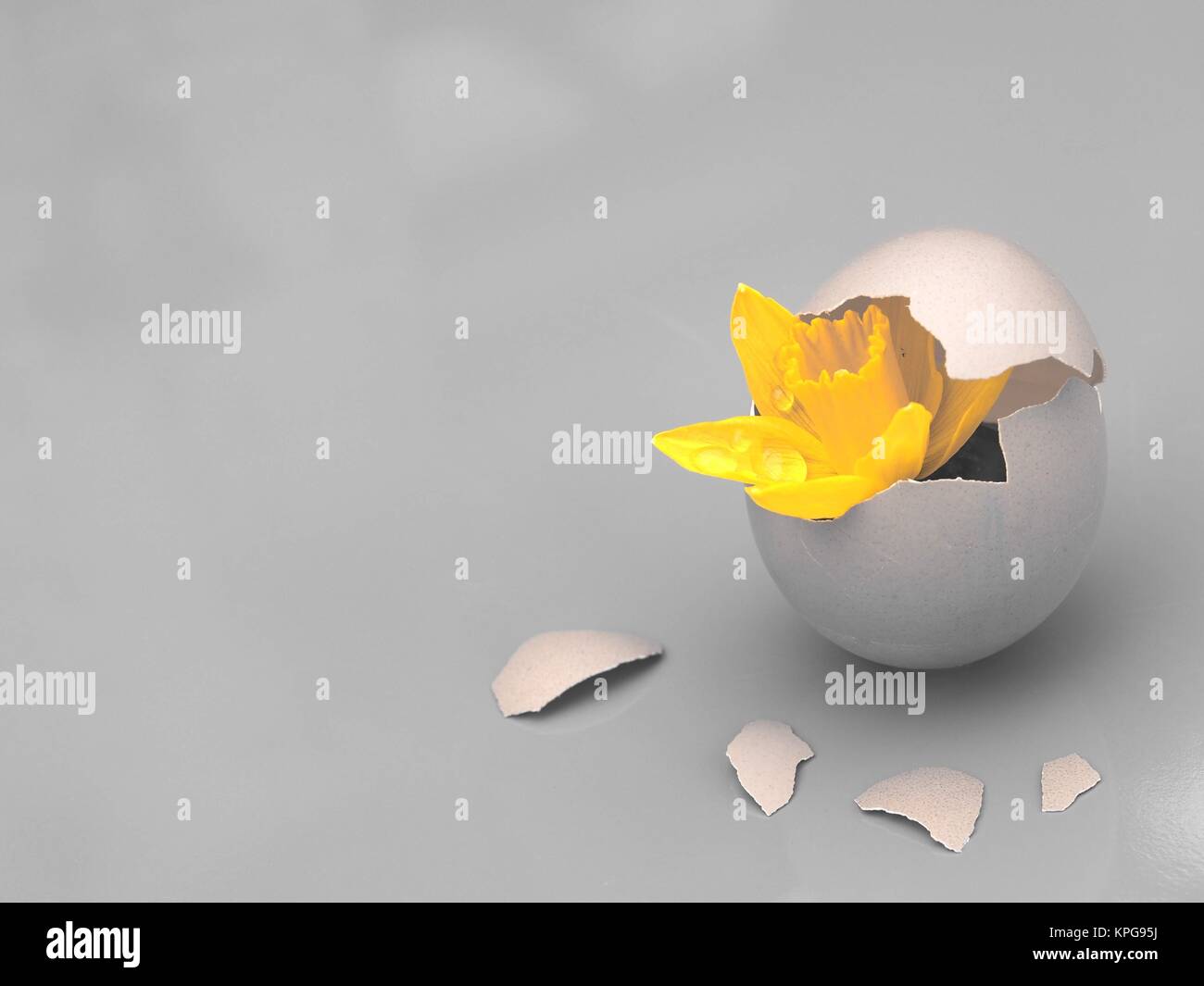Spring awakening hi-res stock photography and images - Alamy