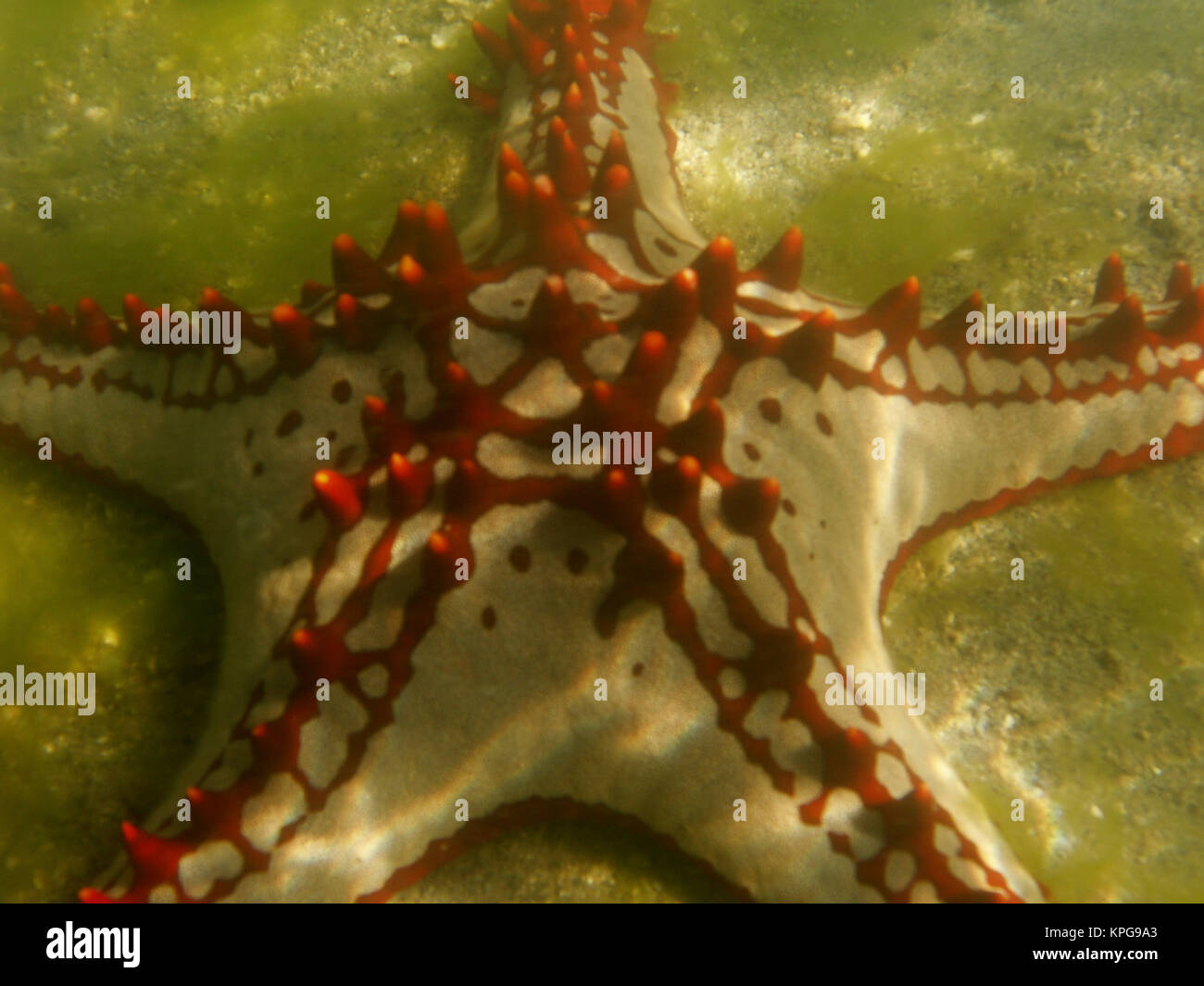 Star knob hi-res stock photography and images - Alamy