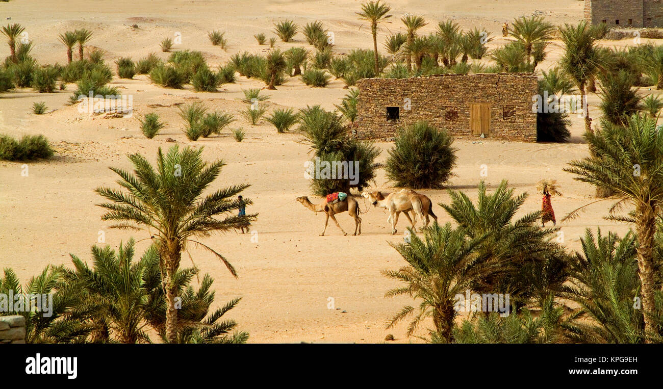 Mauritania, Nomads in the oasis of Tichitt Stock Photo - Alamy