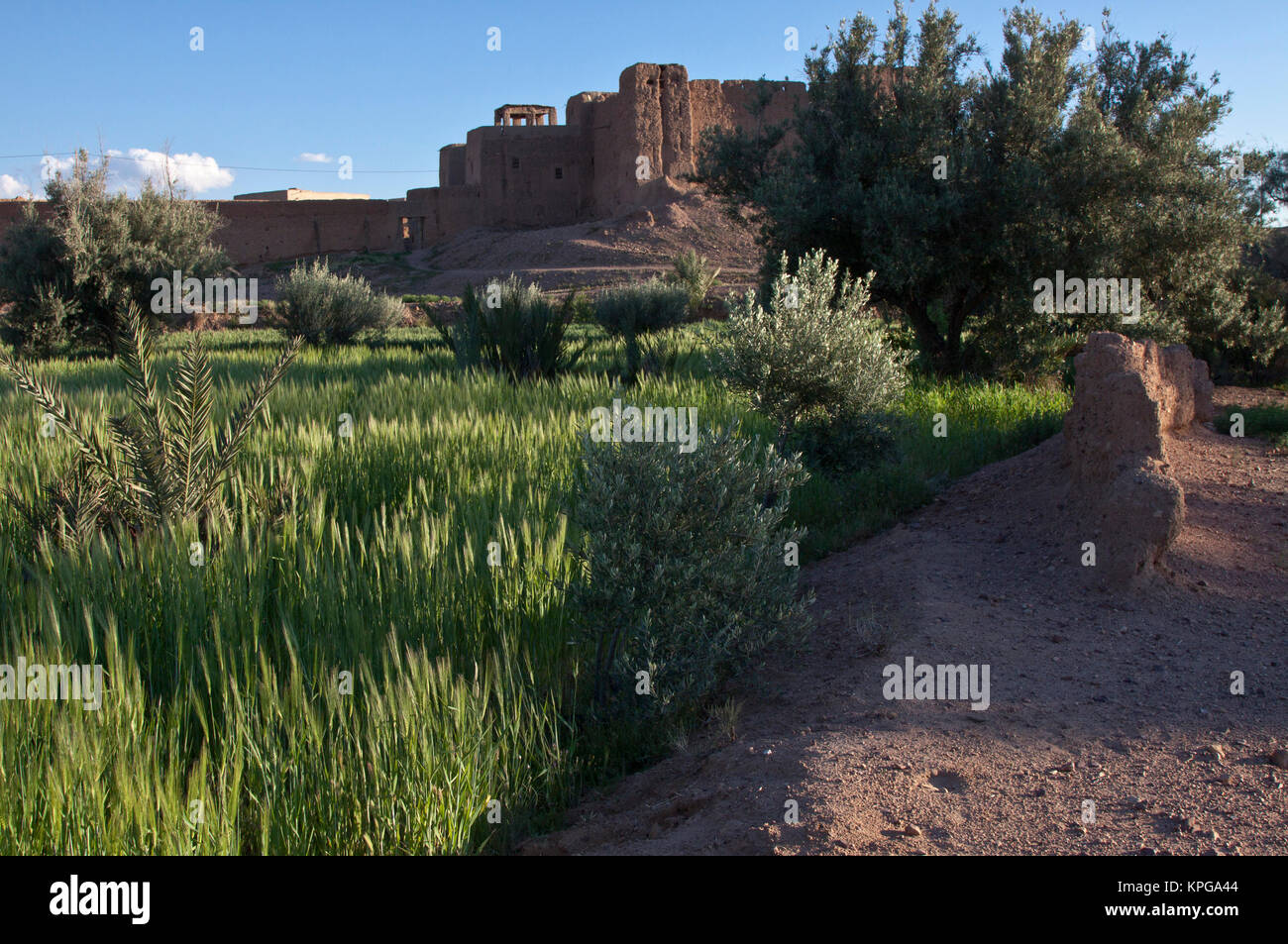 Skoura oasis, Ouarzazate, Morocco Stock Photo - Alamy