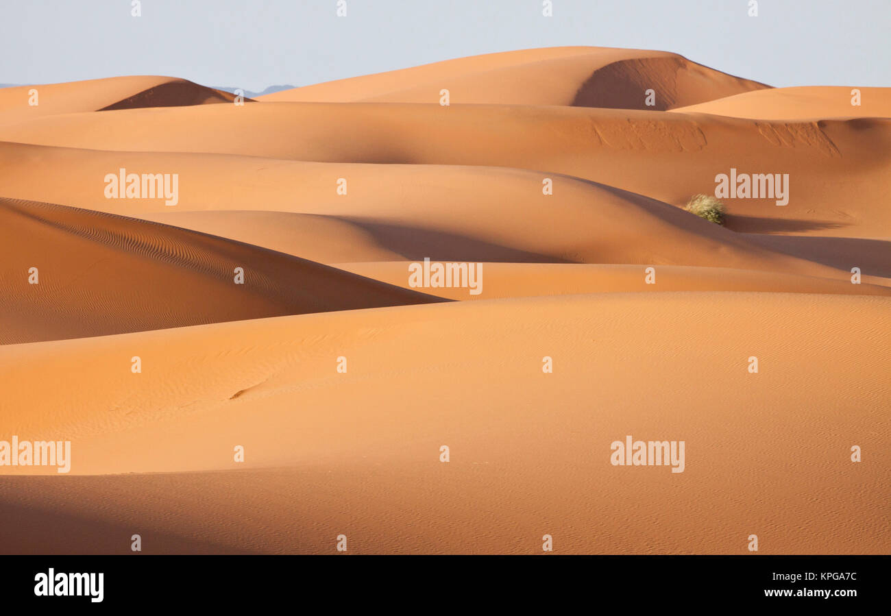 Desert muslim hi-res stock photography and images - Alamy