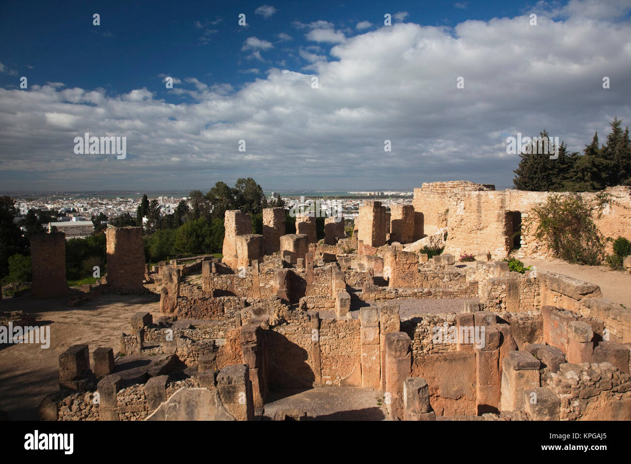 Tunisia, Tunis, Carthage, Byrsa Hill, Roman-era ruins Stock Photo - Alamy