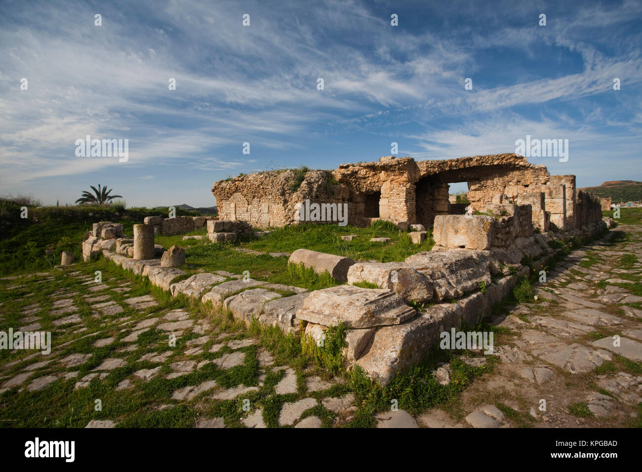 Tunisia, Northern Tunisia, Bulla Regia, ruins of underground Roman-era ...