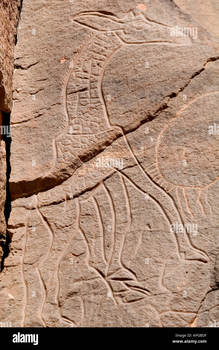 Libya, Fezzan, Messak Settafet, engraving in the wadi In Galghien ...