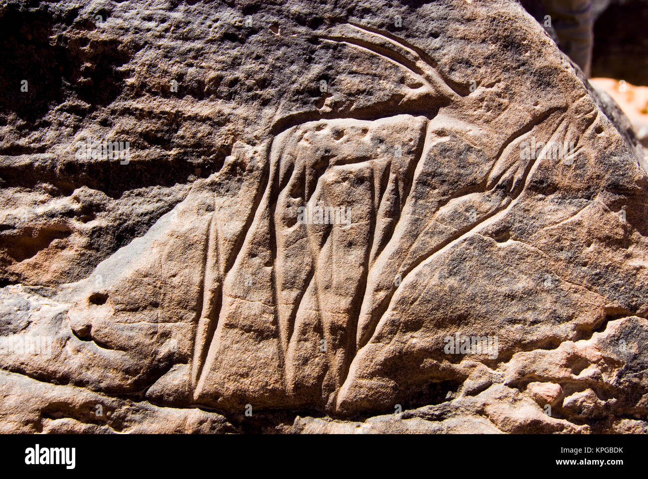 Prehistoric engraving hi-res stock photography and images - Alamy