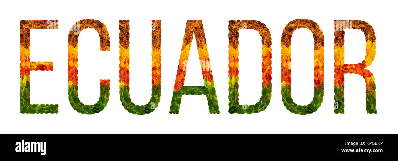 word ecuador country is written with leaves on a white insulated ...