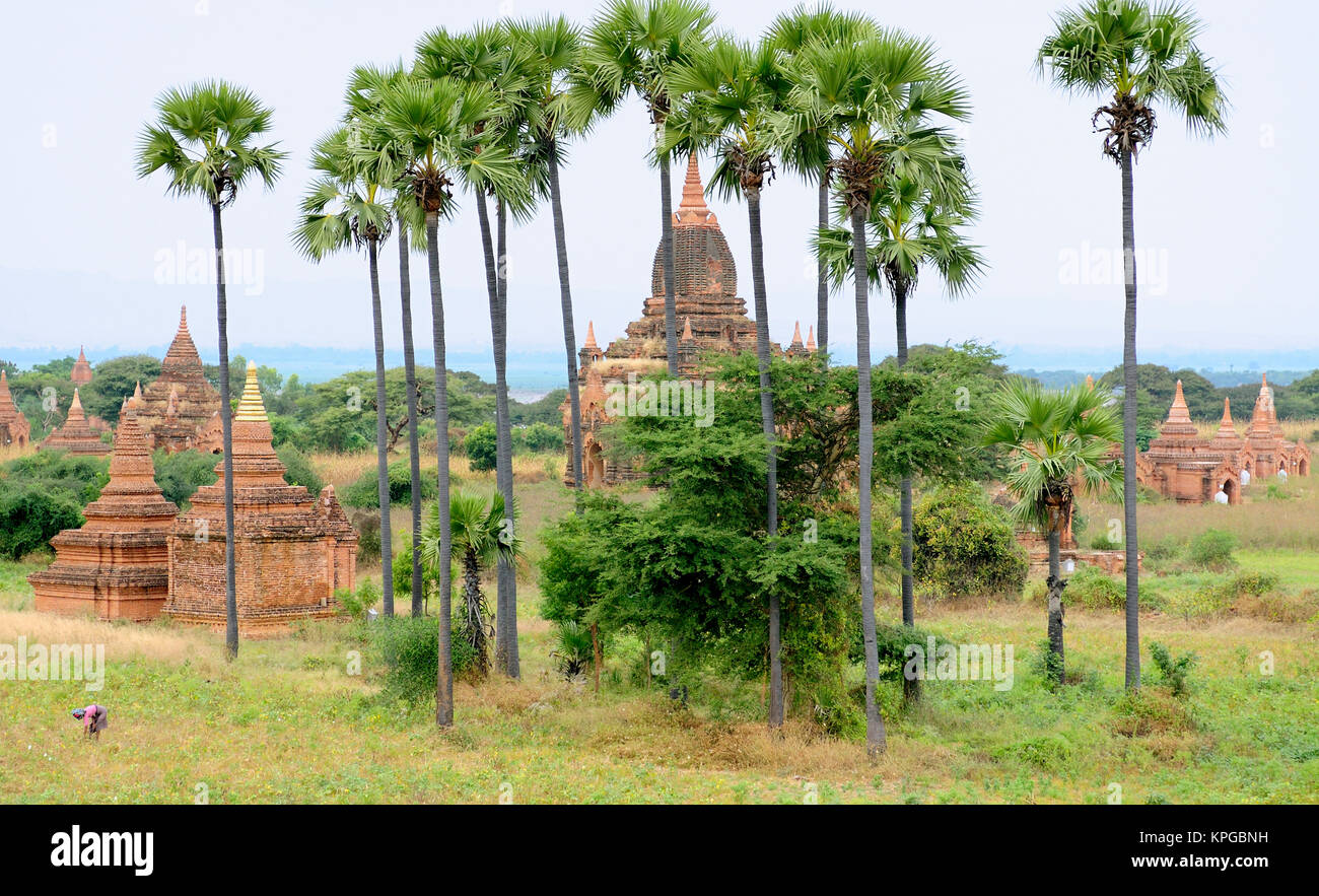 Asia, Myanmar (Burma), Bagan (Pagan). Various temples at Bagan Stock ...