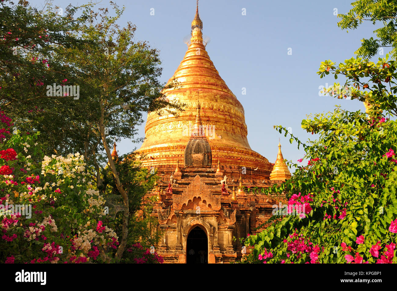 Asia, Myanmar (Burma), Bagan (Pagan). The Dhamma Yazaka Zedi temple at ...