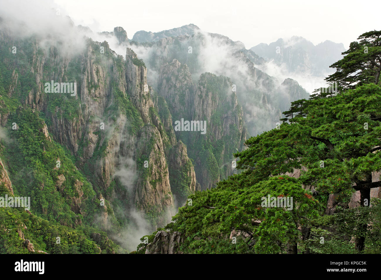 Mist among the peaks and valleys of Grand Canyon in West Sea, Mt. Huang ...