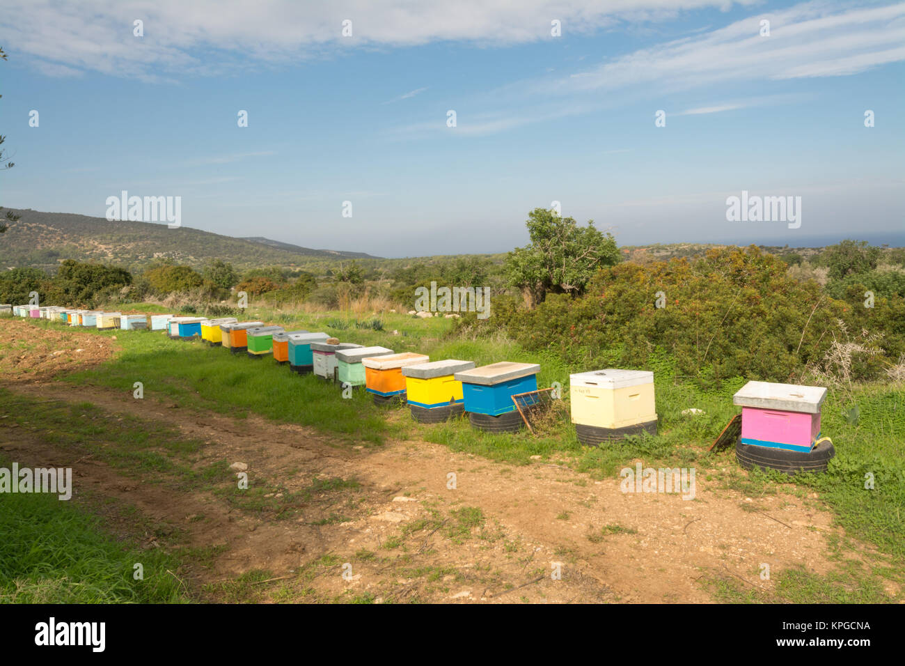 Landscape near the village of Neo Chorio in Cyprus with a line of multi ...
