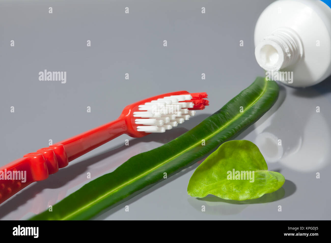 Toothbrush and open tube of toothpaste with green leaves, conceptual ...