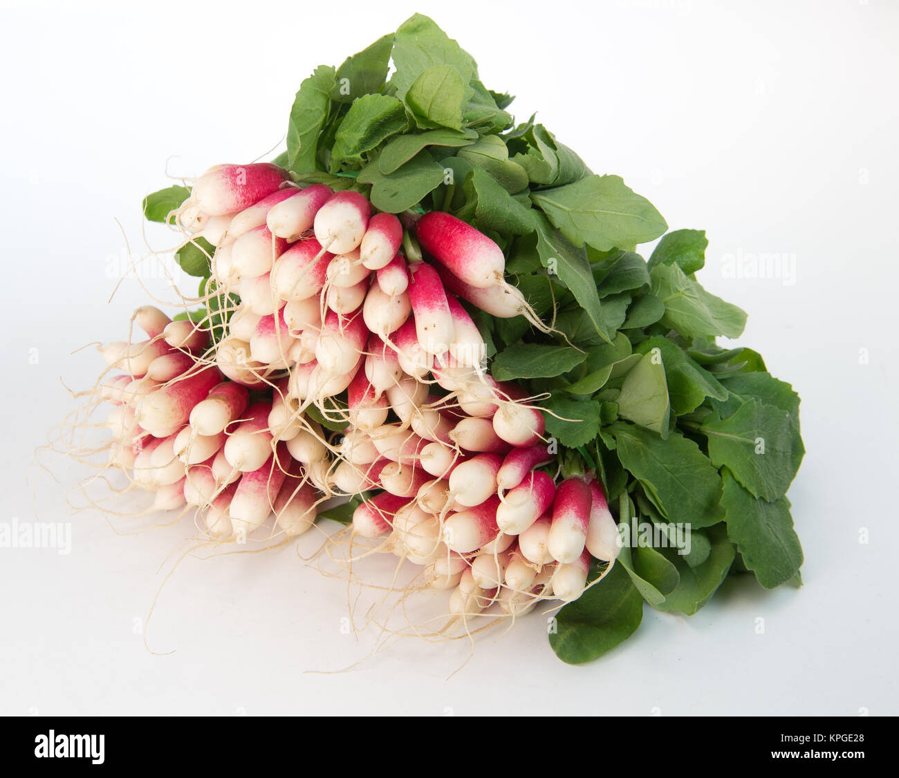 Bunch of red radish on white background edible root vegetable ...