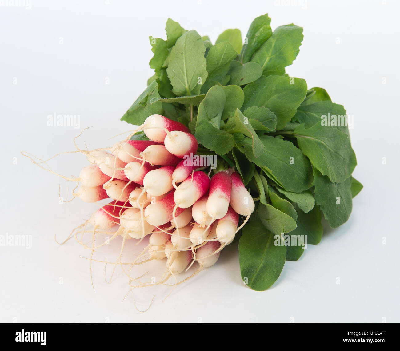 Bunch of red radish on white background edible root vegetable ...
