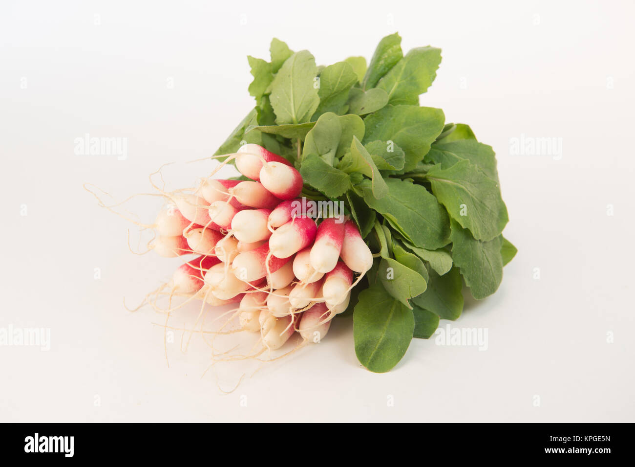 Bunch of red radish on white background edible root vegetable ...