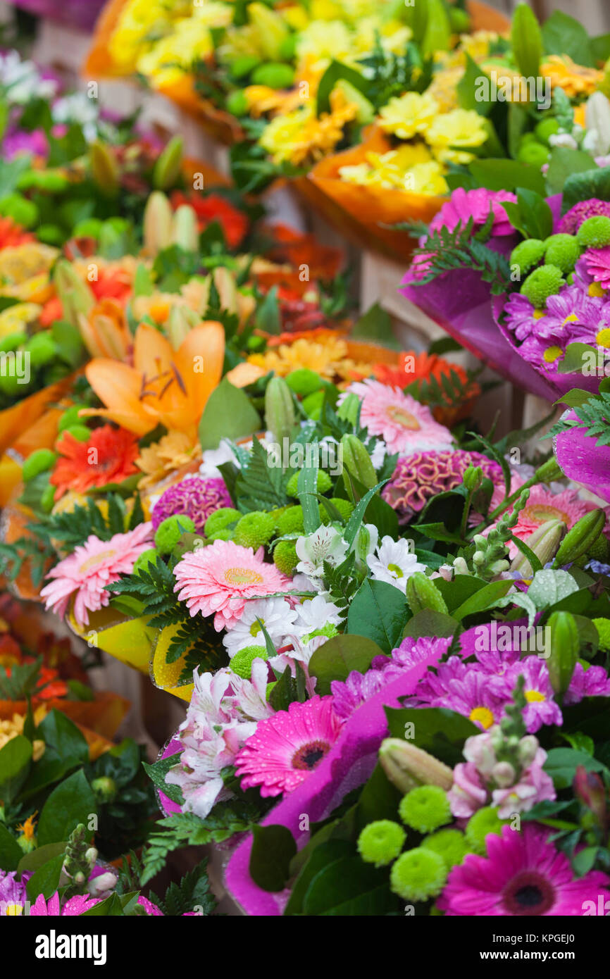 France, Nord, French Flanders, Lille, Wazemmes Sunday Market, flowers ...