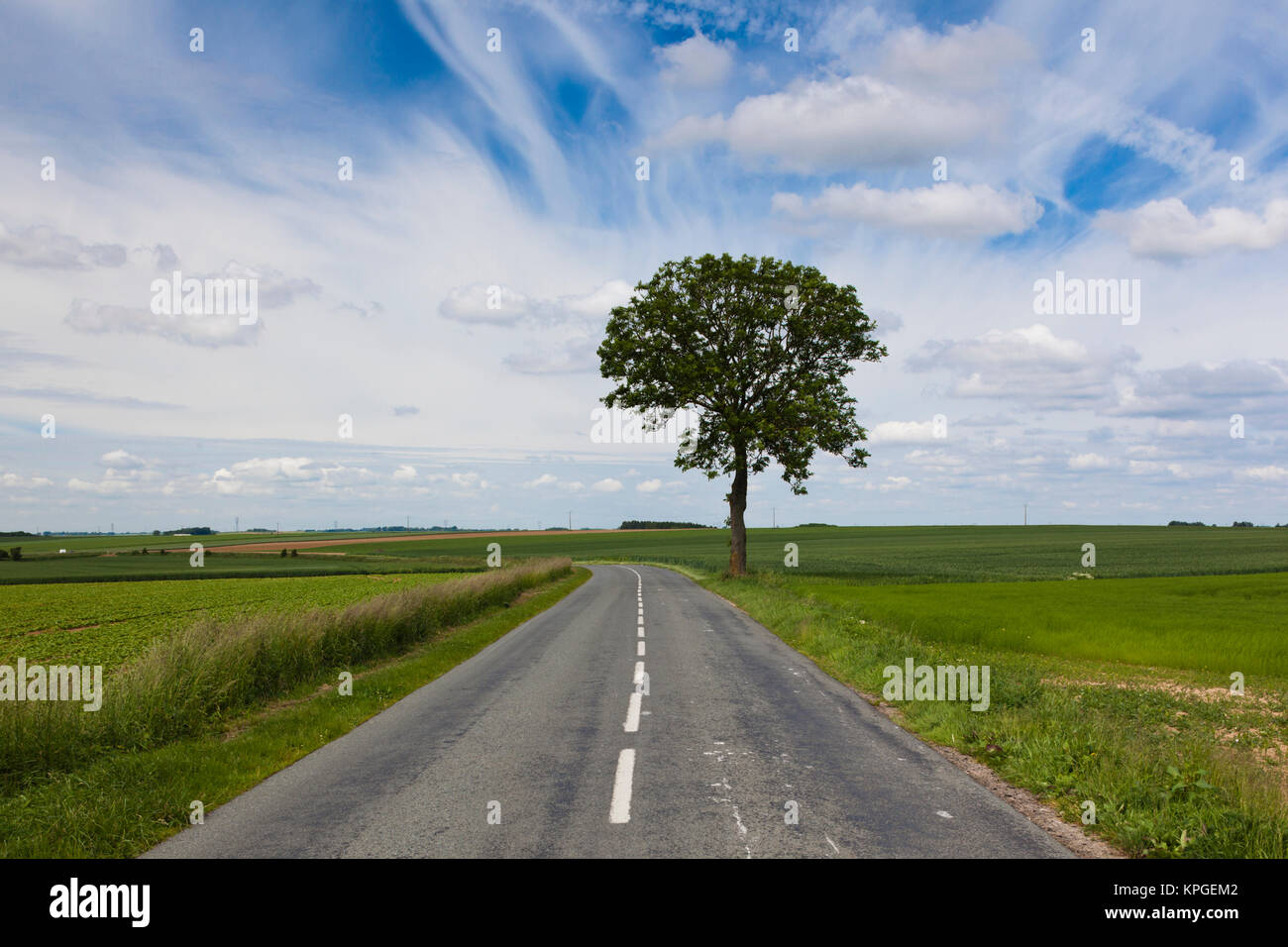 France, Picardy, Somme, Beaumont, road through the Somme countryside ...