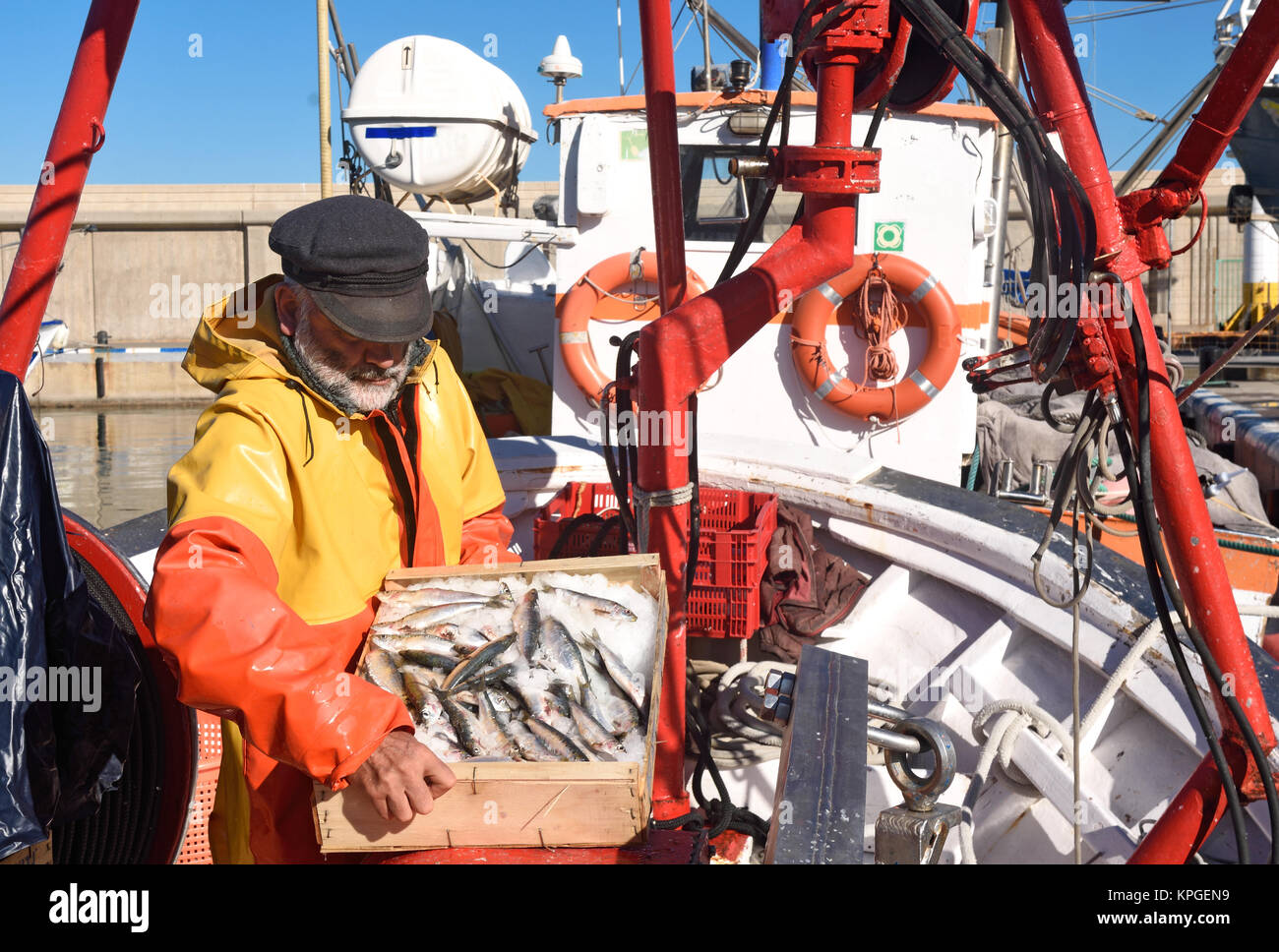 fisherman with a fish box inside a fishing boat Stock Photo - Alamy