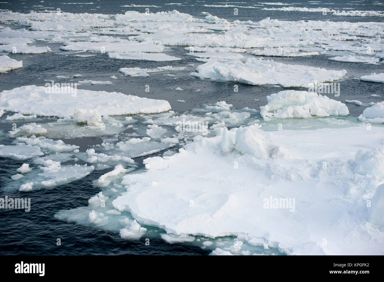 Abashiri ice drift in cold ocean near Japan Stock Photo - Alamy
