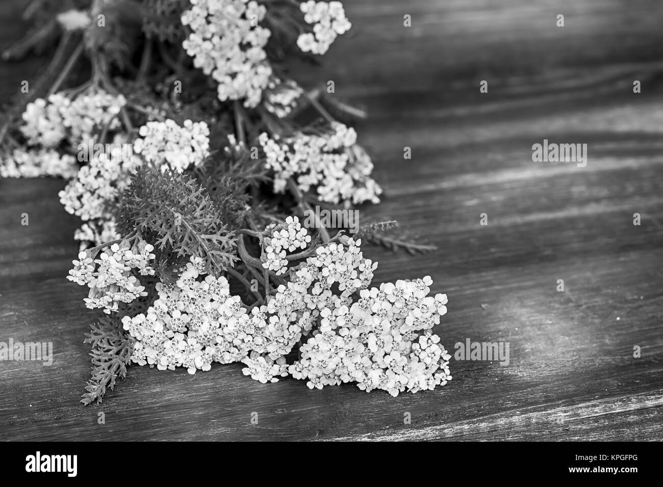 Flowers on body Black and White Stock Photos & Images - Alamy