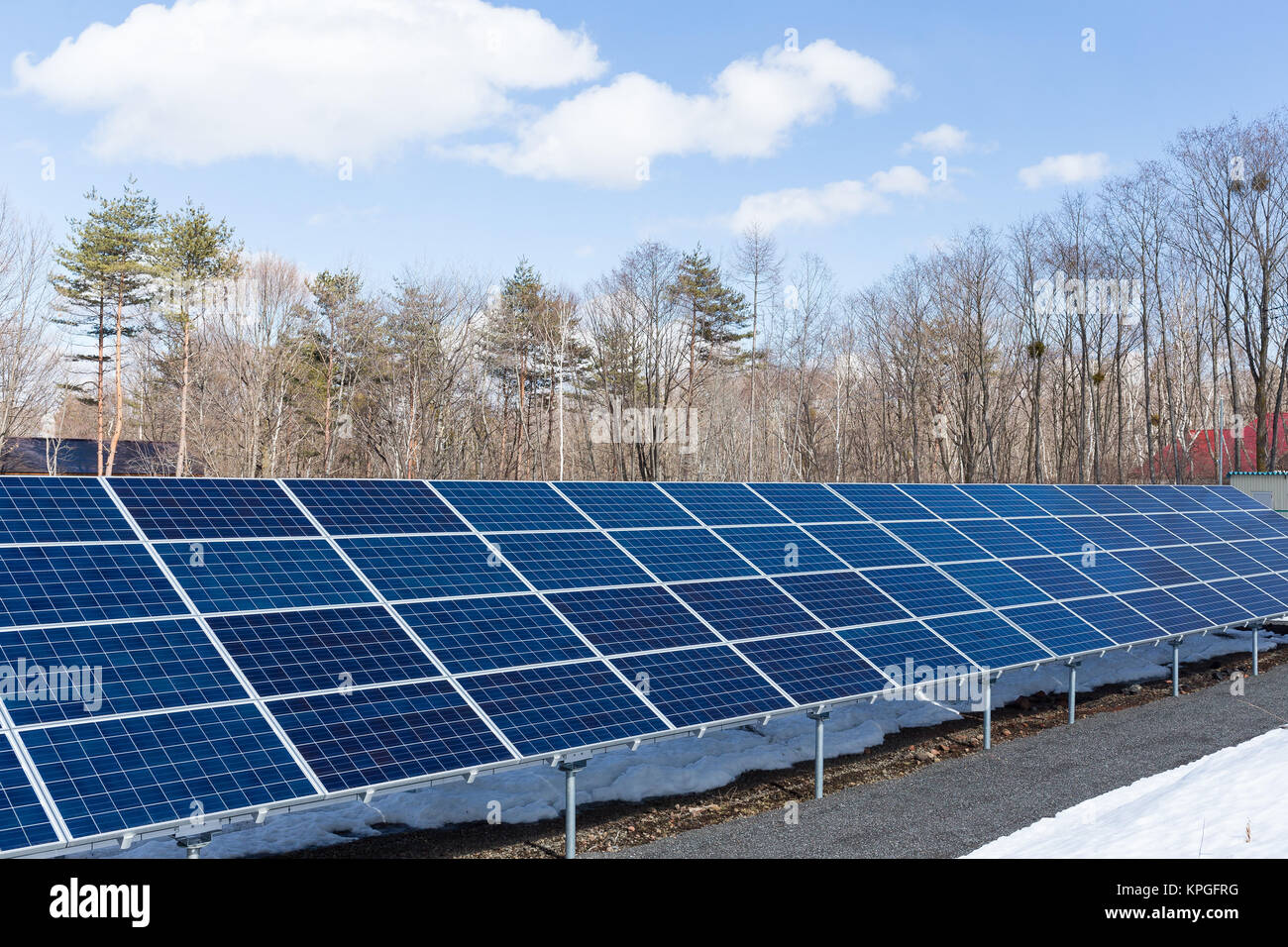 Solar Panels in forest Stock Photo - Alamy
