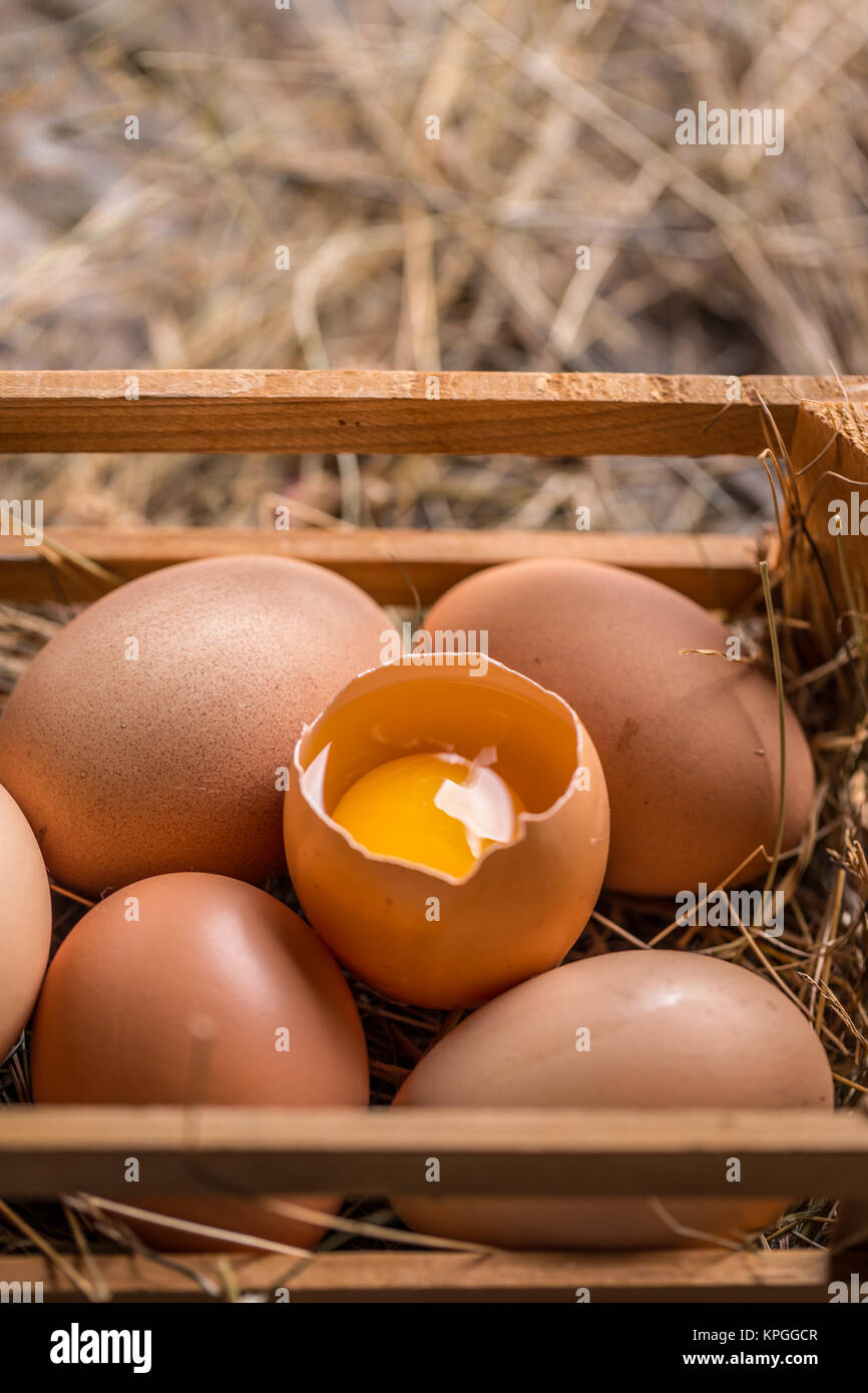 Close up of brown eggs Stock Photo - Alamy