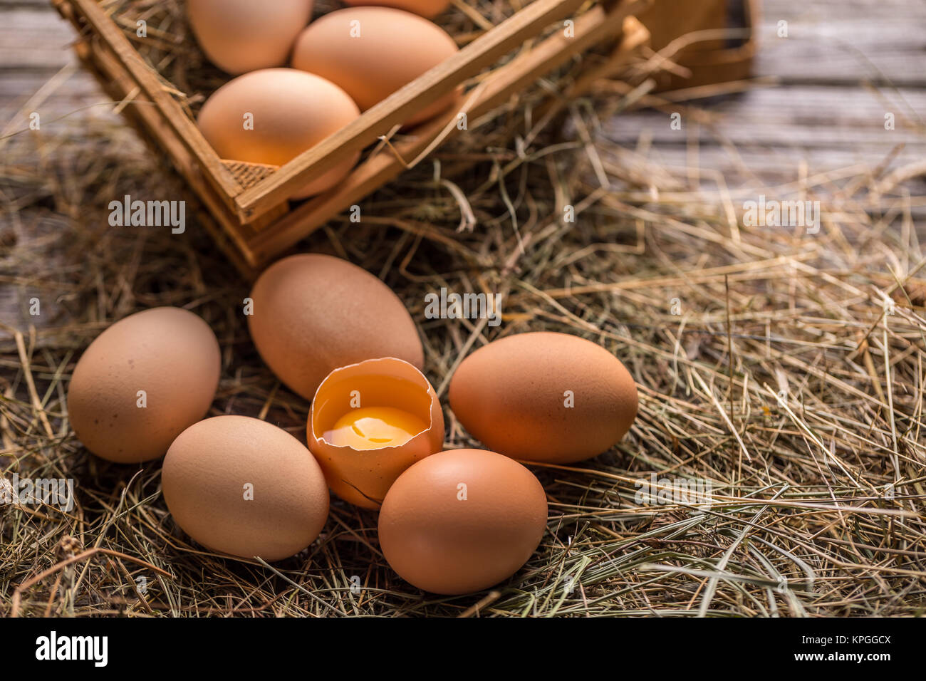 Fresh farm eggs Stock Photo - Alamy