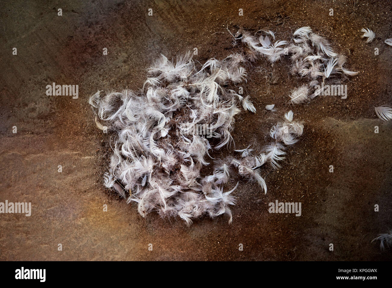 Voodoo on the ground Stock Photo - Alamy