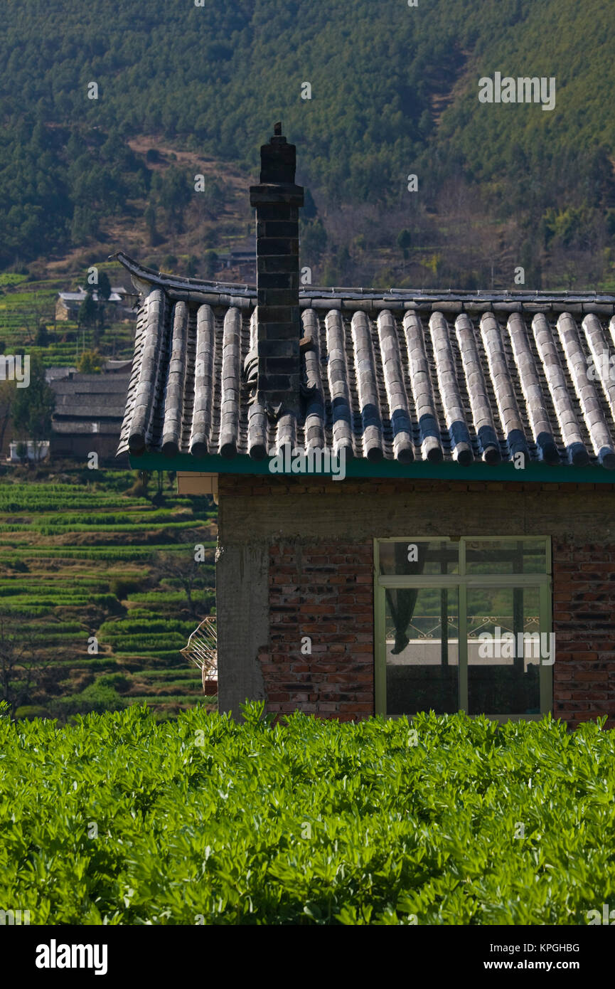 CHINA, Yunnan Province, Heqing. Mountain Town Terraced Fields from ...