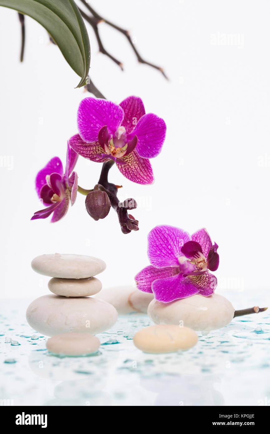 White spa stones and oriental flower Stock Photo - Alamy